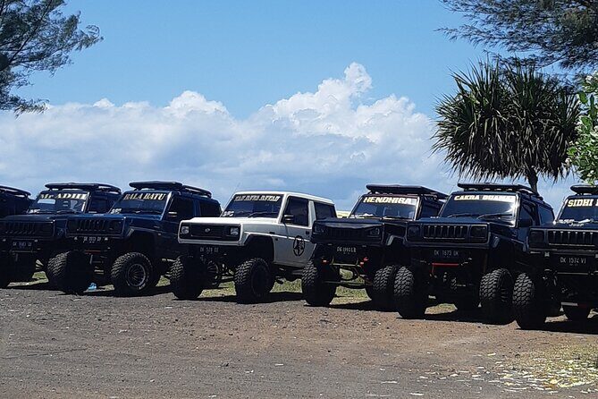 East Bali Full-Day FEROZA JEEP Tour with Pick Up - Who Would Enjoy This Tour?
