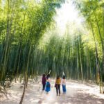 East Busan Small Group Photo Tour (Max 7) - Stop 3: Cheongsapo