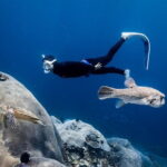 East Coast of Nusa Penida Private Snorkeling - A Detailed Breakdown of the Itinerary