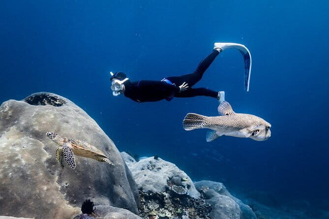 East Coast of Nusa Penida Private Snorkeling - A Detailed Breakdown of the Itinerary