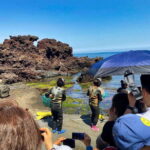 EAST JEJU: All Inclusive Private Tour w/ Taekwondo Show - Why Each Stop Matters