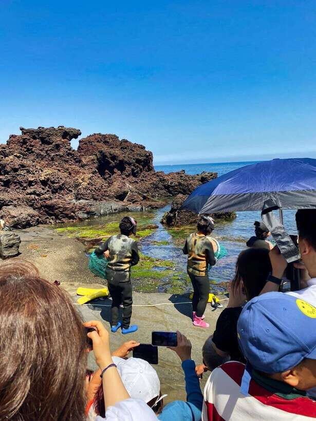 EAST JEJU: All Inclusive Private Tour w/ Taekwondo Show - Why Each Stop Matters