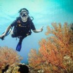 Easy Fun Scuba Dive in El Nido - What’s Included and What You’ll Need to Consider