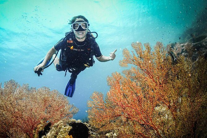 Easy Fun Scuba Dive in El Nido - What’s Included and What You’ll Need to Consider