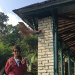 Easy Hiking to Dhampus Village from Pokhara - Practical Tips for Travelers