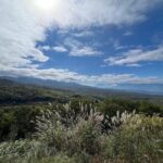 Ebike Tour in Lake Shirakaba and Tateshina Highland Japan - Who Will Enjoy This Tour?