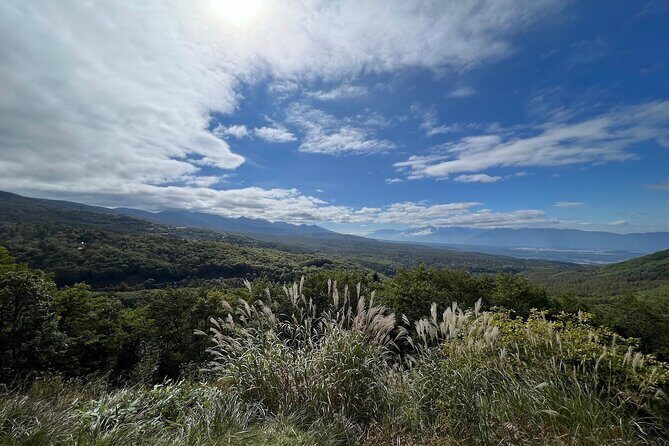 Ebike Tour in Lake Shirakaba and Tateshina Highland Japan - Who Will Enjoy This Tour?
