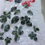 Eco Printing & Natural Dyeing Technique - Unpacking the Details: Practical Information and Considerations