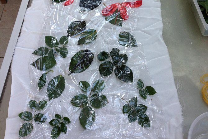 Eco Printing & Natural Dyeing Technique - Unpacking the Details: Practical Information and Considerations