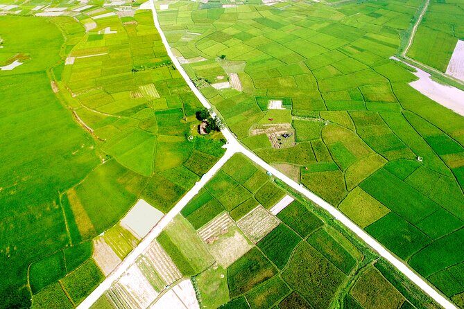 ECO TOUR in Bac Giang - 1 day experience as a farmer - FAQ