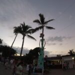 Educational and fun Private City tour- Puerto Vallarta - Detailed Breakdown of the Itinerary