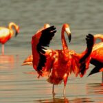 Ek Balam and Pink Paradise Ruins to Rainbow Lakes - Who Should Consider This Tour?