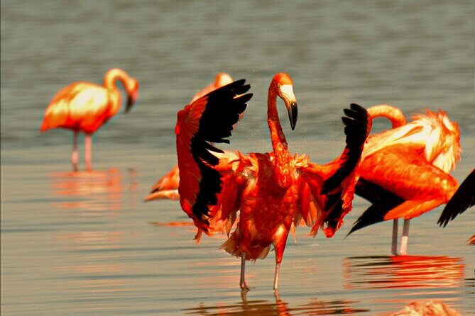 Ek Balam and Pink Paradise Ruins to Rainbow Lakes - Who Should Consider This Tour?