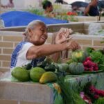 Ek Balam Valladolid and Cenote Day Trip with Lunch - Authentic Perspectives from Past Travelers