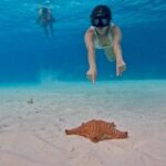 El Cielo Snorkeling Tour and The Top Reefs of Cozumel - The Itinerary: What to Expect at Each Stop