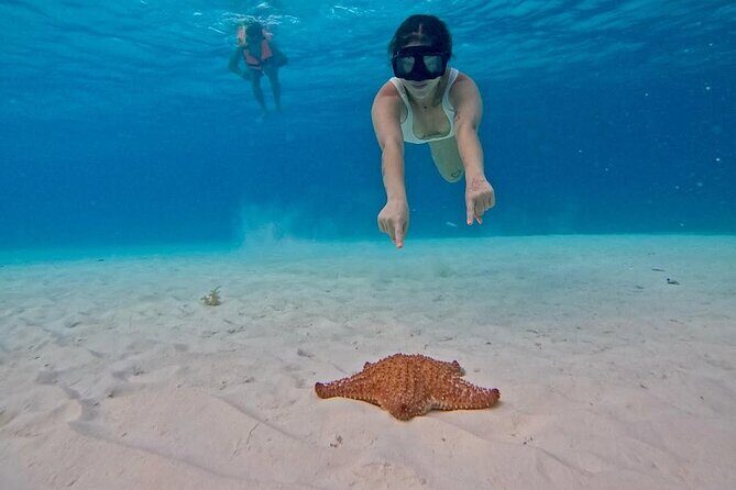 El Cielo Snorkeling Tour and The Top Reefs of Cozumel - The Itinerary: What to Expect at Each Stop