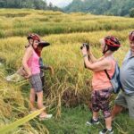 Electric bicycle tour in Jatiluwih UNESCO site - How the Tour Offers Value