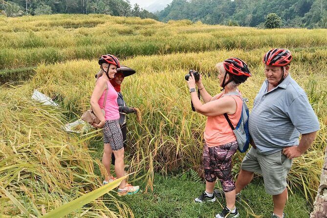 Electric bicycle tour in Jatiluwih UNESCO site - How the Tour Offers Value