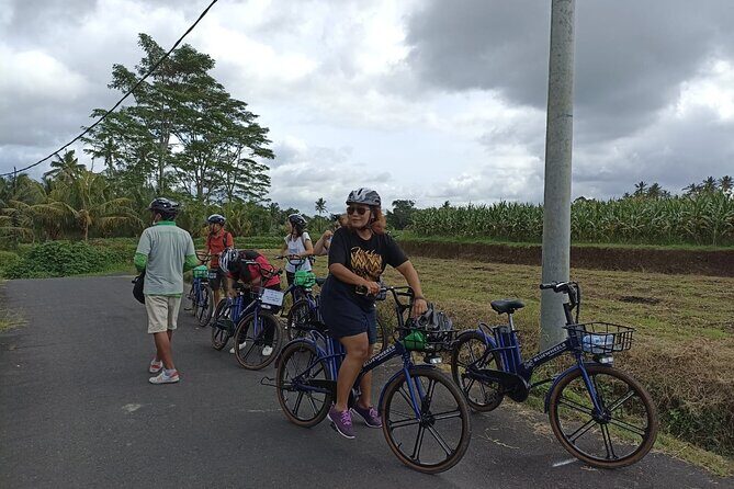 Electric bicycle tour in quaint South Ubud - Reflection on the Reviews and Real Experiences