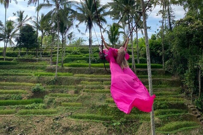 Electric Bike and Swing Package - What Past Travelers Say