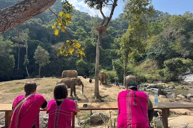 Elephant Watching and Thai Cooking Class with Waterfall - The Transportation and Group Dynamics
