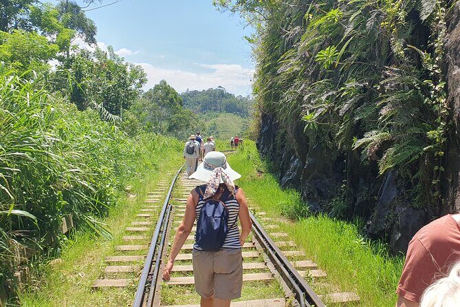 Ella and Yala National park Tour from Colombo - Authentic Experiences and Highlights