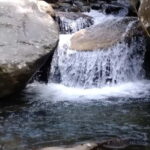 Ella: Cinnamon, Spice Garden & Waterfall tour - An Authentic Day in Ella: What to Expect