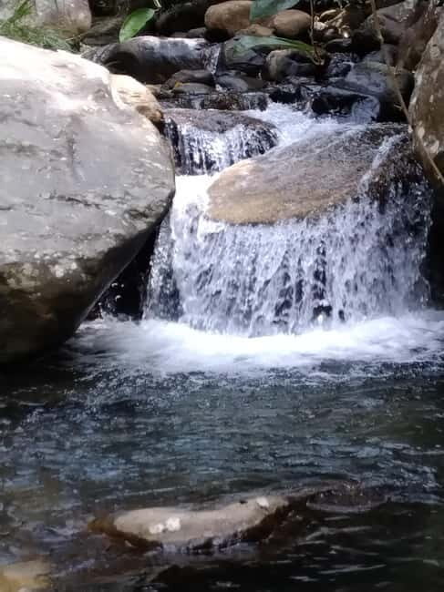 Ella: Cinnamon, Spice Garden & Waterfall tour - An Authentic Day in Ella: What to Expect