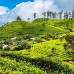 Ella: Day Tour From Kandy with Train Ride - Exploring Ella’s Landmarks