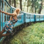 Ella Day Trip with Train Ride & Tea Factory - All Inclusive - In Summation