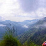 Ella: Little Adam's Peak and Nine Arch Bridge Half-Day Tour - Who Will Love This Tour?