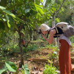 Ella: Nine Arch Spice Garden Tour with Traditional Lunch - A Deeper Look at the Experience