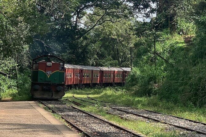 Ella Private Day Tour - Departing from Any Location in Sri Lanka - What to Expect: An In-Depth Itinerary Breakdown
