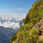 Ella to Horton Plains with Bakers Falls & Train Delights - The Value of This Tour