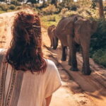 Ella to Mirissa Shuttle & Safari Drive - A Deep Dive into the Itinerary