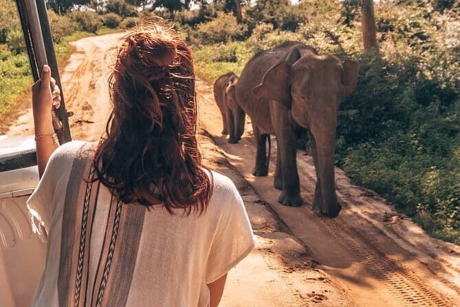 Ella to Mirissa Shuttle & Safari Drive - A Deep Dive into the Itinerary