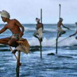 Ella to Mirissa,Weligama,Ahangama (Private Transfer ) - The Sum Up