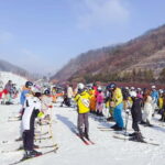 Elysian Ski Day Tour (Ski & Snow Board Full Package) - What Do Reviewers Say?