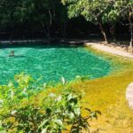 Emerald Pool: Jungle Tour, Private Full Day with Lunch - Practical Details: What You Need to Know