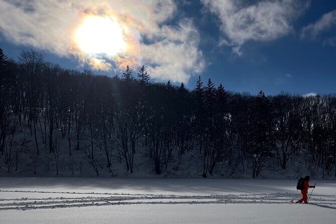 EN/CN Guided Snowshoeing and Snow Monkey Tour in Nagano - The Itinerary Breakdown