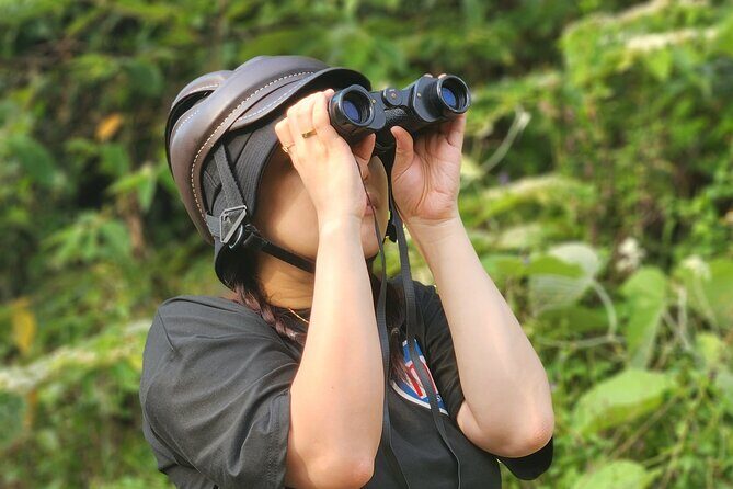 Endangered Monkeys Watching - Red Shanked Douc Langurs - The Journey: From City to Wilderness