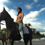 English and Japanese Speaking Local Bali Driver - What Makes This Tour Stand Out?