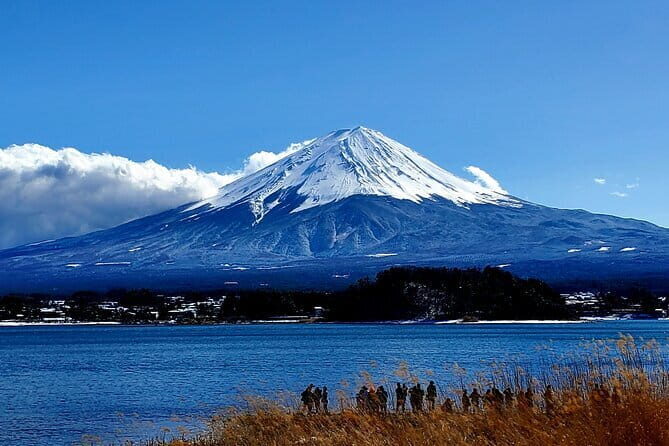 English Guided 2 Days Tokyo ,Mt Fuji and Hakone Private Tour - Who Is This Tour Best For?