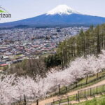 English Guided Mt. Fuji and Lake Kawaguchi Group Tour - An In-Depth Look at the Tour Experience