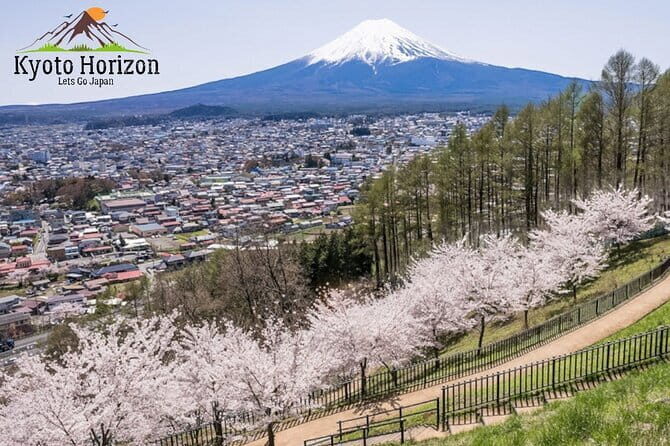 English Guided Mt. Fuji and Lake Kawaguchi Group Tour - An In-Depth Look at the Tour Experience