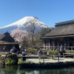 English-speaking Guided Tour:Mount Fuji & Hakone, Private Vehicle - The Overall Experience