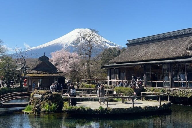 English-speaking Guided Tour:Mount Fuji & Hakone, Private Vehicle - The Overall Experience