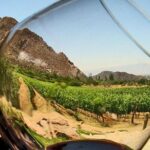 Ensenada Shore Excursion: Entre Santos and El Cielo Winery Tours with Lunch - Who Should Consider This Tour?