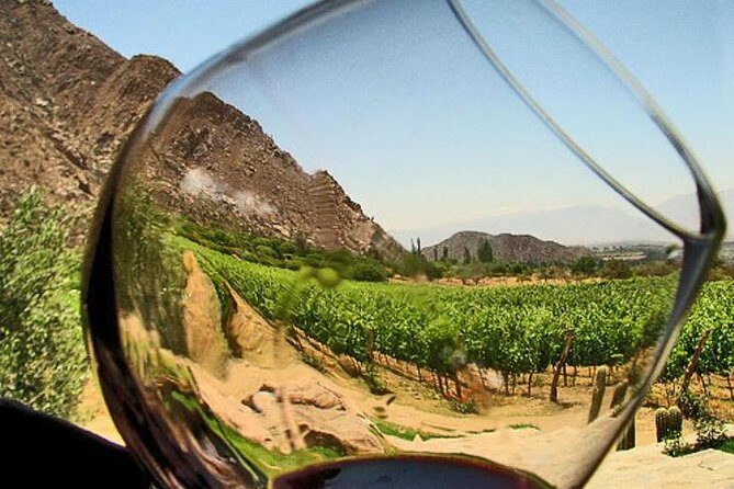 Ensenada Shore Excursion: Entre Santos and El Cielo Winery Tours with Lunch - Who Should Consider This Tour?