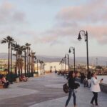 Ensenada Shore Excursion: Wine and Cheese Tour with Lunch in Ojos Negros Valley - Practical Tips for Your Visit